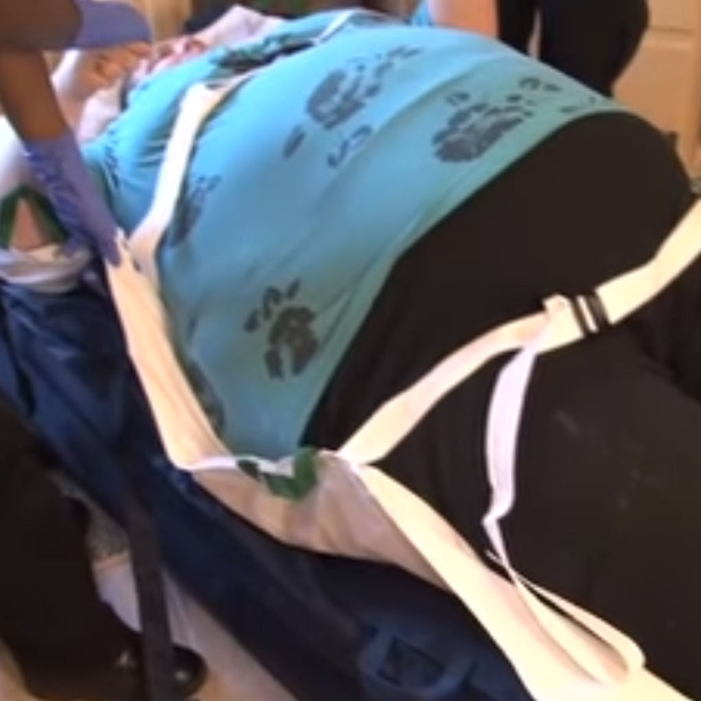 HoverMatt® SPU (Single Patient Use) Air Transfer Mattress — Horizon ...